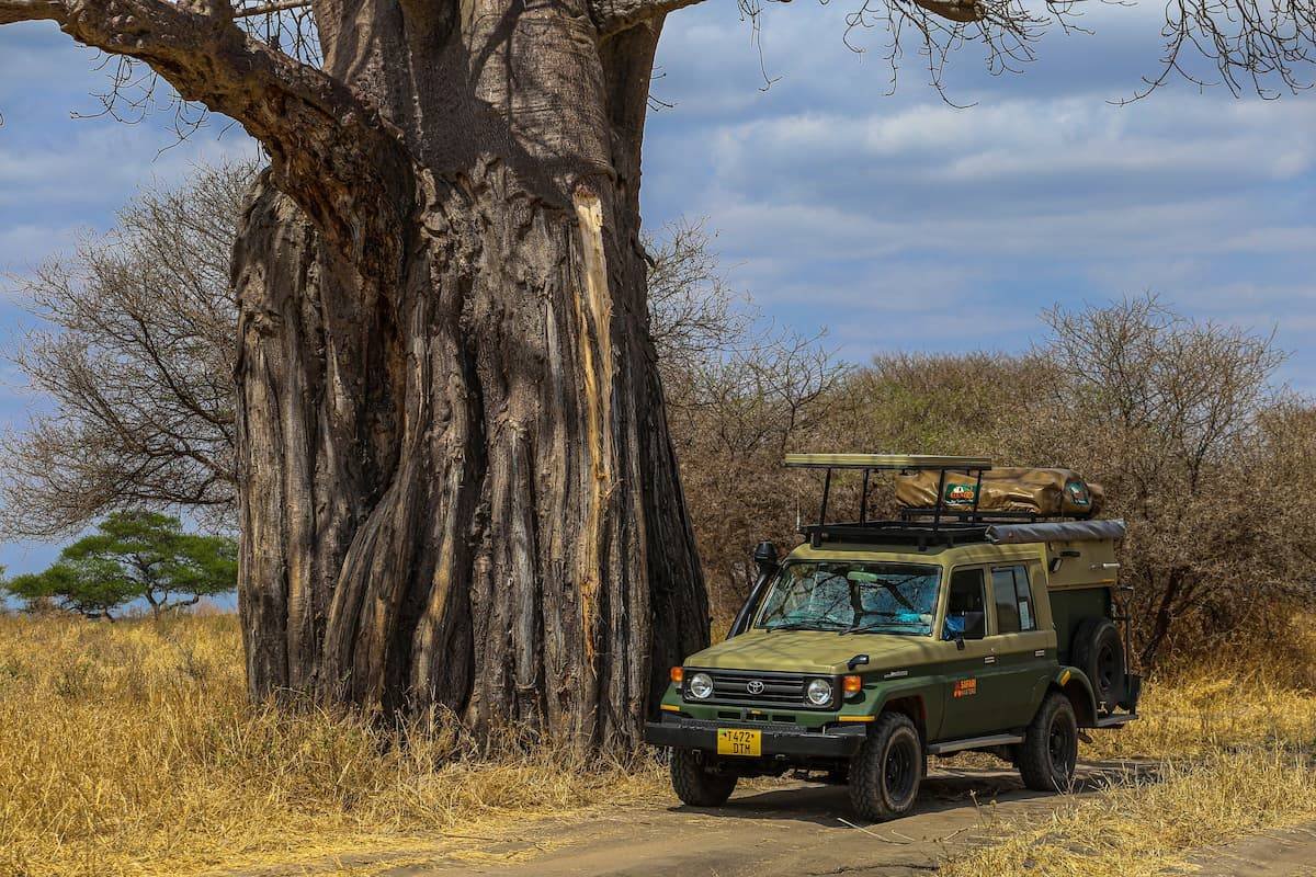 14 DAYS SAFARI IN TANZANIA - Safari Masters